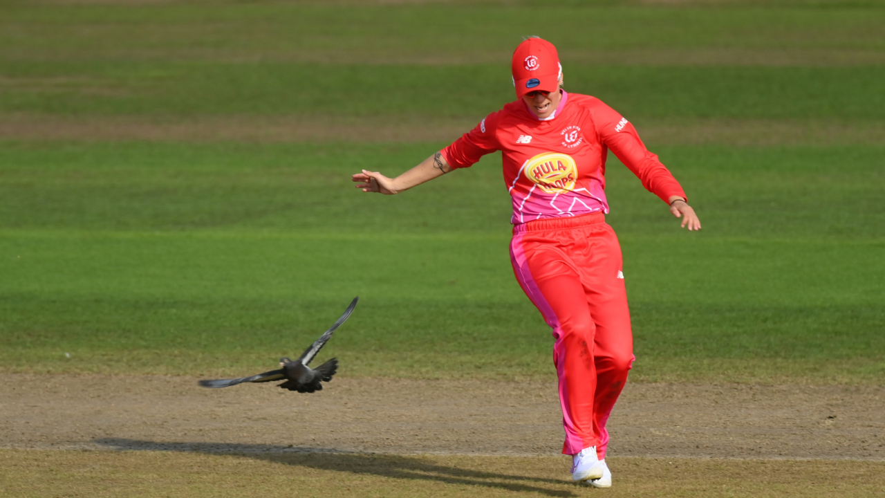 England and Wales Cricket Board (ECB) - The Official Website of the ECB