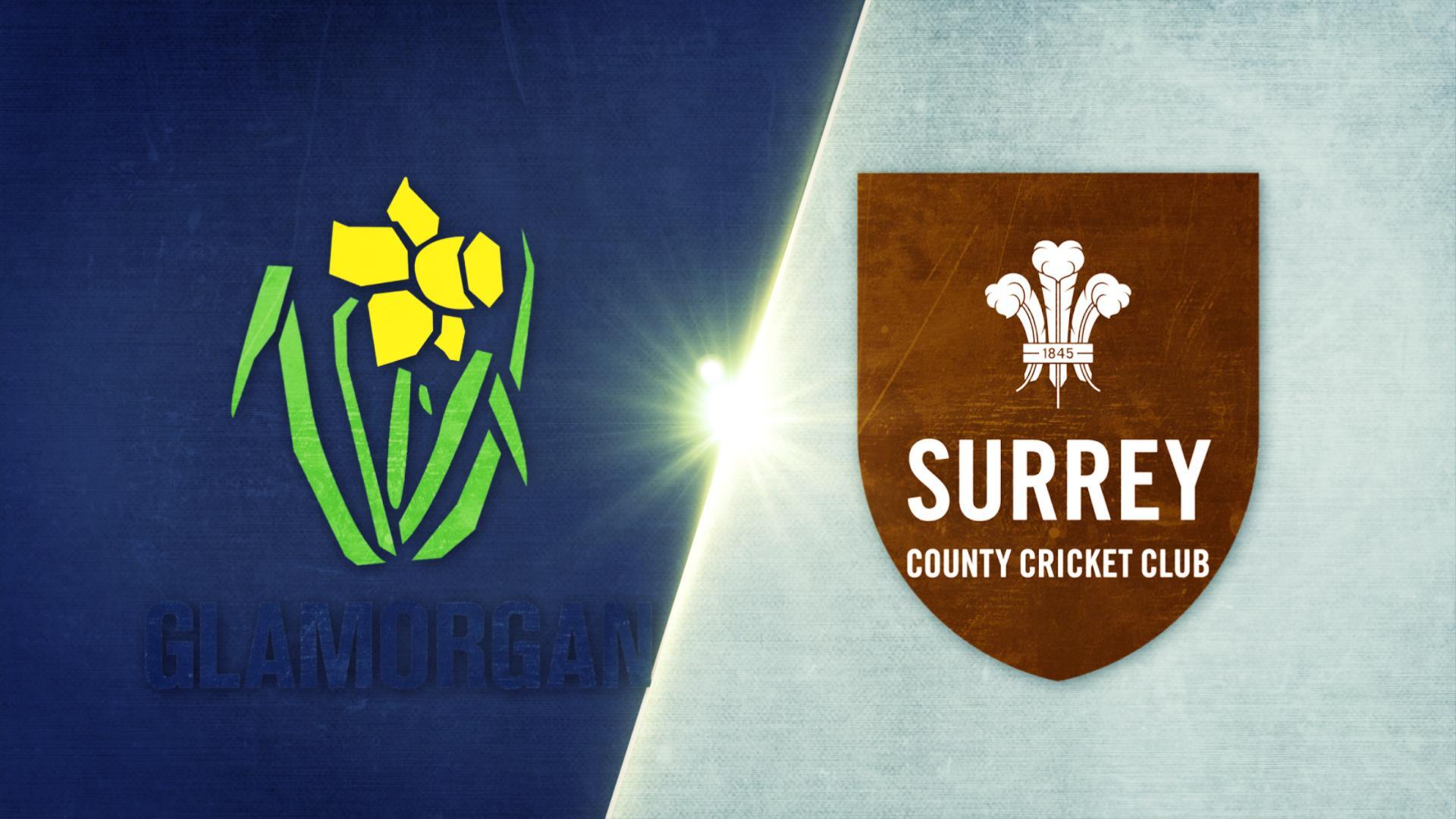 Highlights | Glamorgan vs Surrey | Vitality Blast 2025