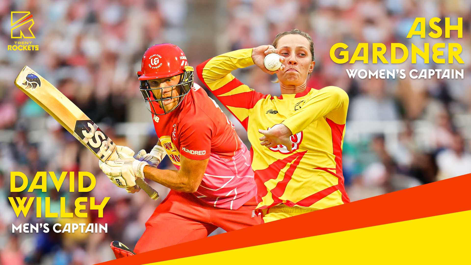 David Willey and Ash Gardner named Trent Rockets captains for 2025